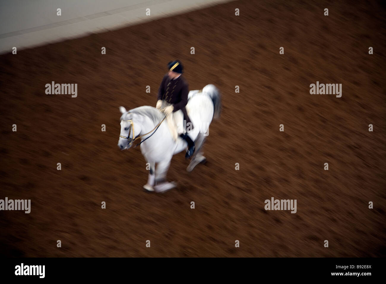 Spanish horse rider hi-res stock photography and images - Alamy