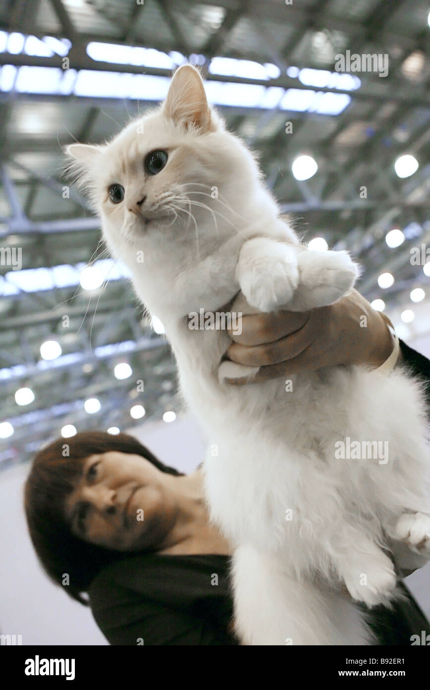 The 9th Moscow international exhibition Cat Supershow 2007 at the ...