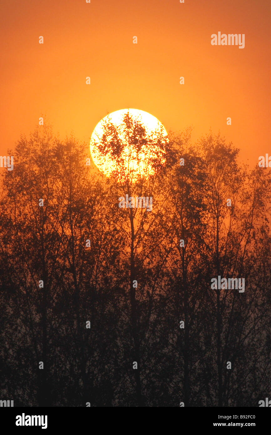 The sunrise on a foggy fall day Stock Photo - Alamy