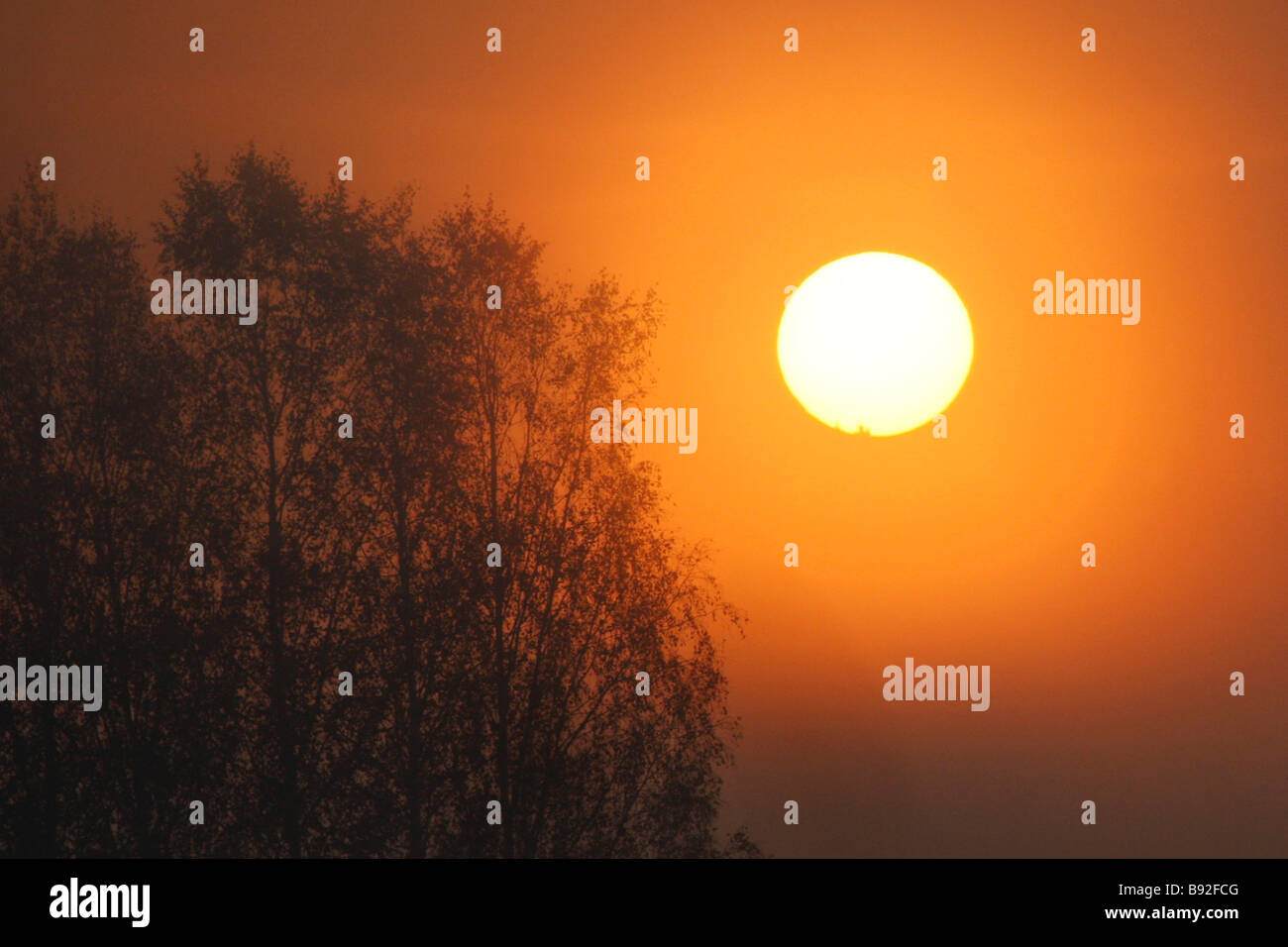 The sunrise on a foggy fall day Stock Photo - Alamy