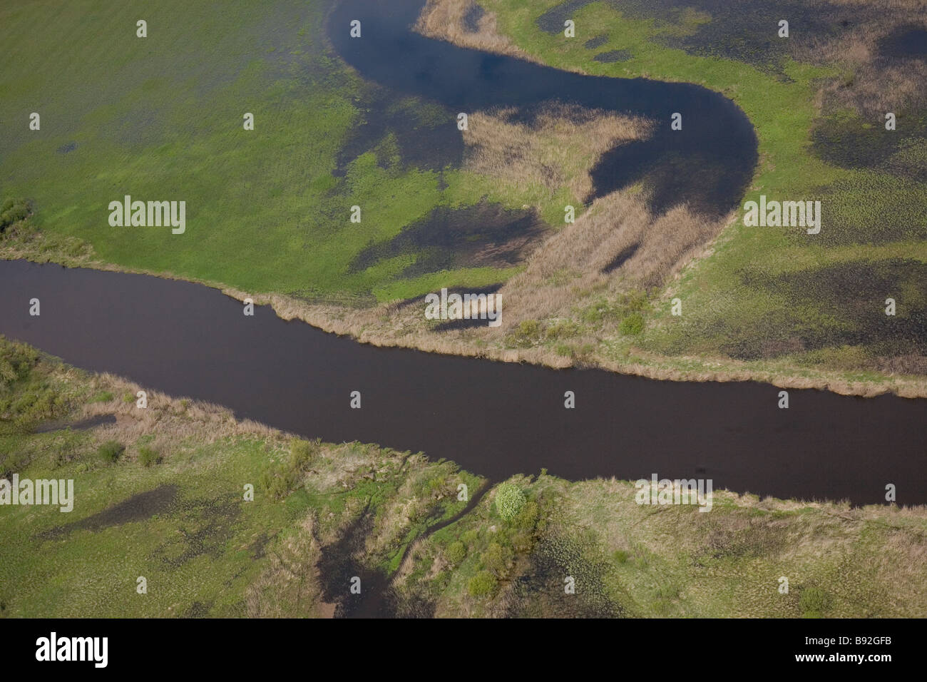 River Emajõgi, Tartu County, Estonia, Europe Stock Photo - Alamy