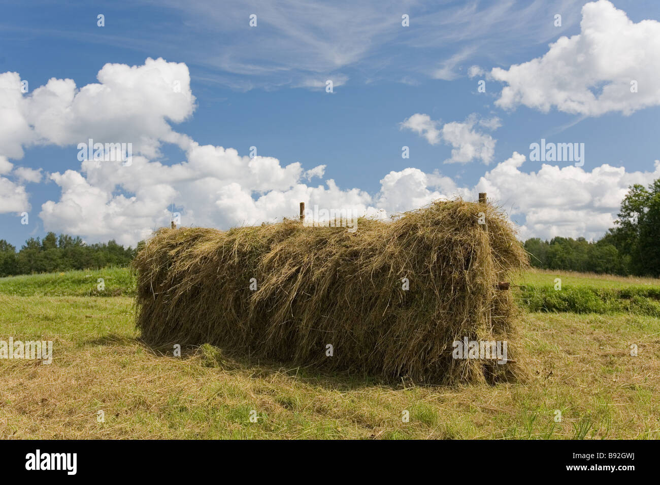 Hayrick in Field Estonia Stock Photo - Alamy