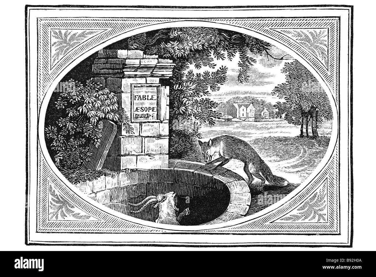 fox and goat well ram sheep trapped canine villiage wood field outside ...