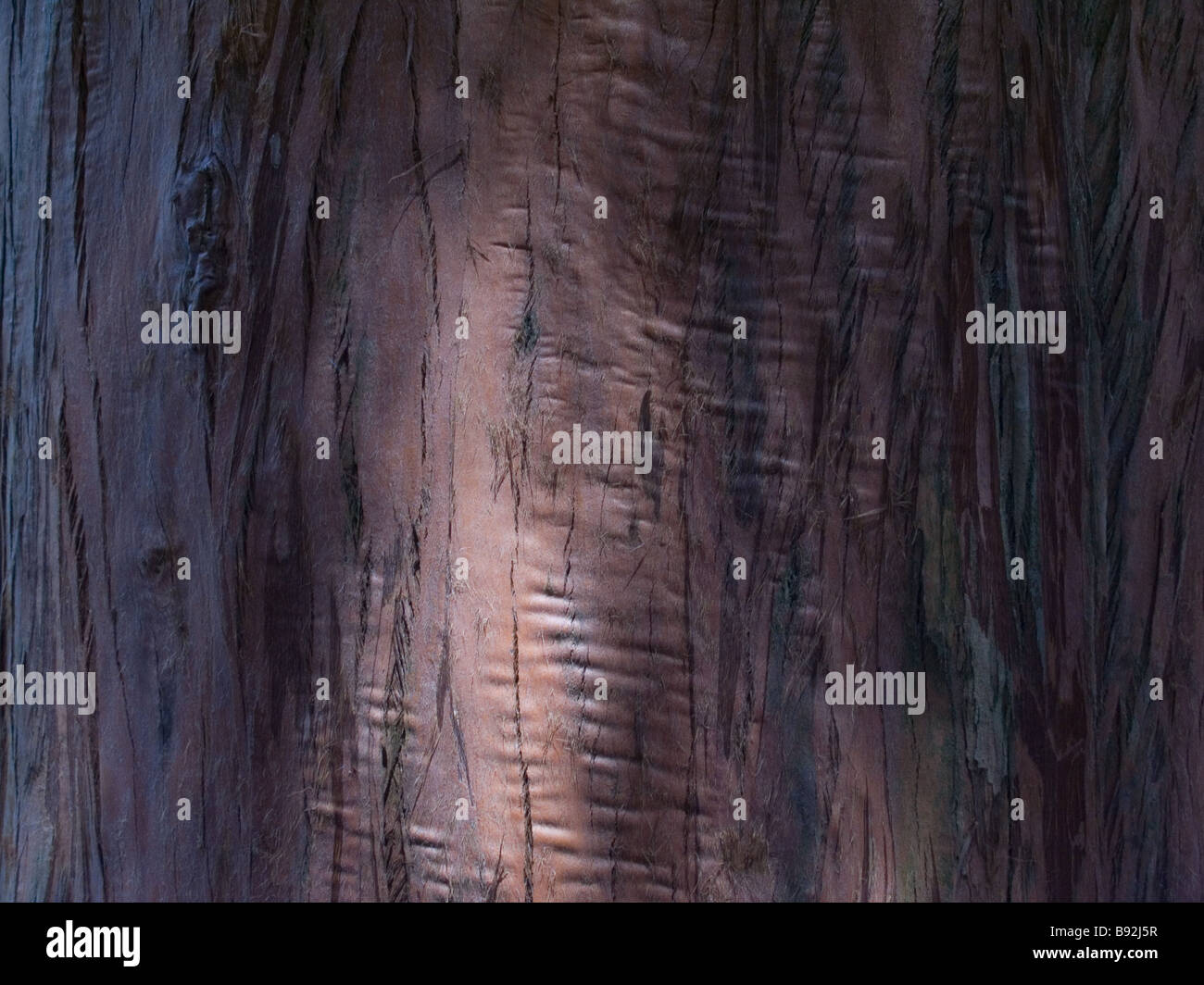 Pattern concept conceptual hi-res stock photography and images - Alamy