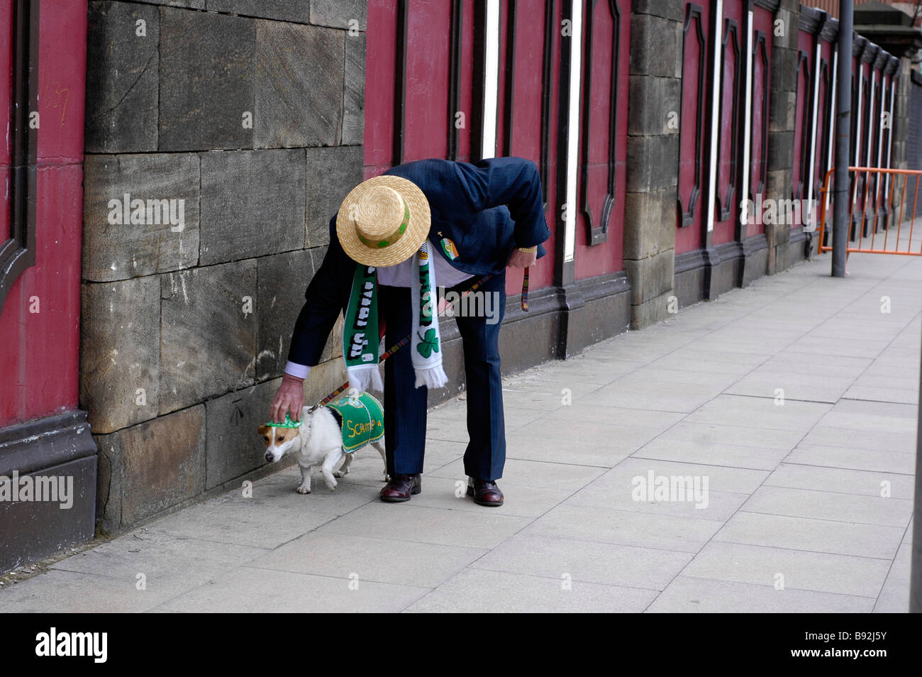 irishman picking up dog before photograph Stock Photo - Alamy