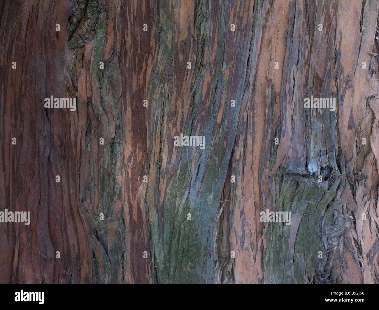 Pattern concept conceptual hi-res stock photography and images - Alamy