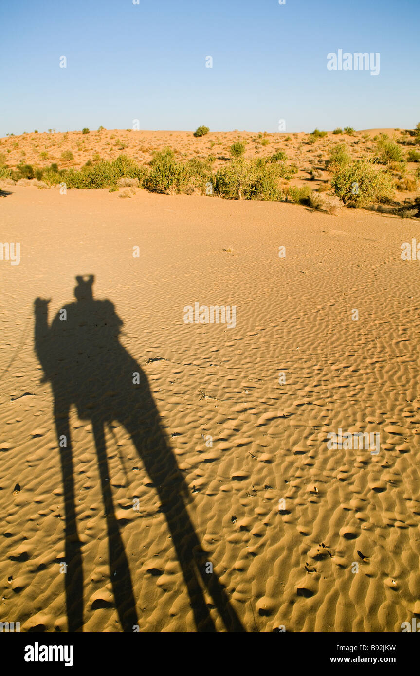 A cool shadow of a camel in the great Indian desert Stock Photo - Alamy