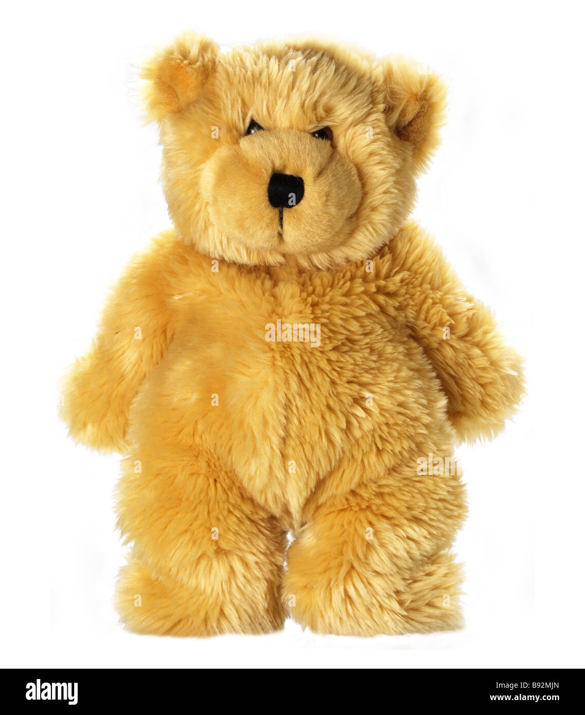 Soft cuddly teddy bear Cut Out Stock Images & Pictures - Alamy