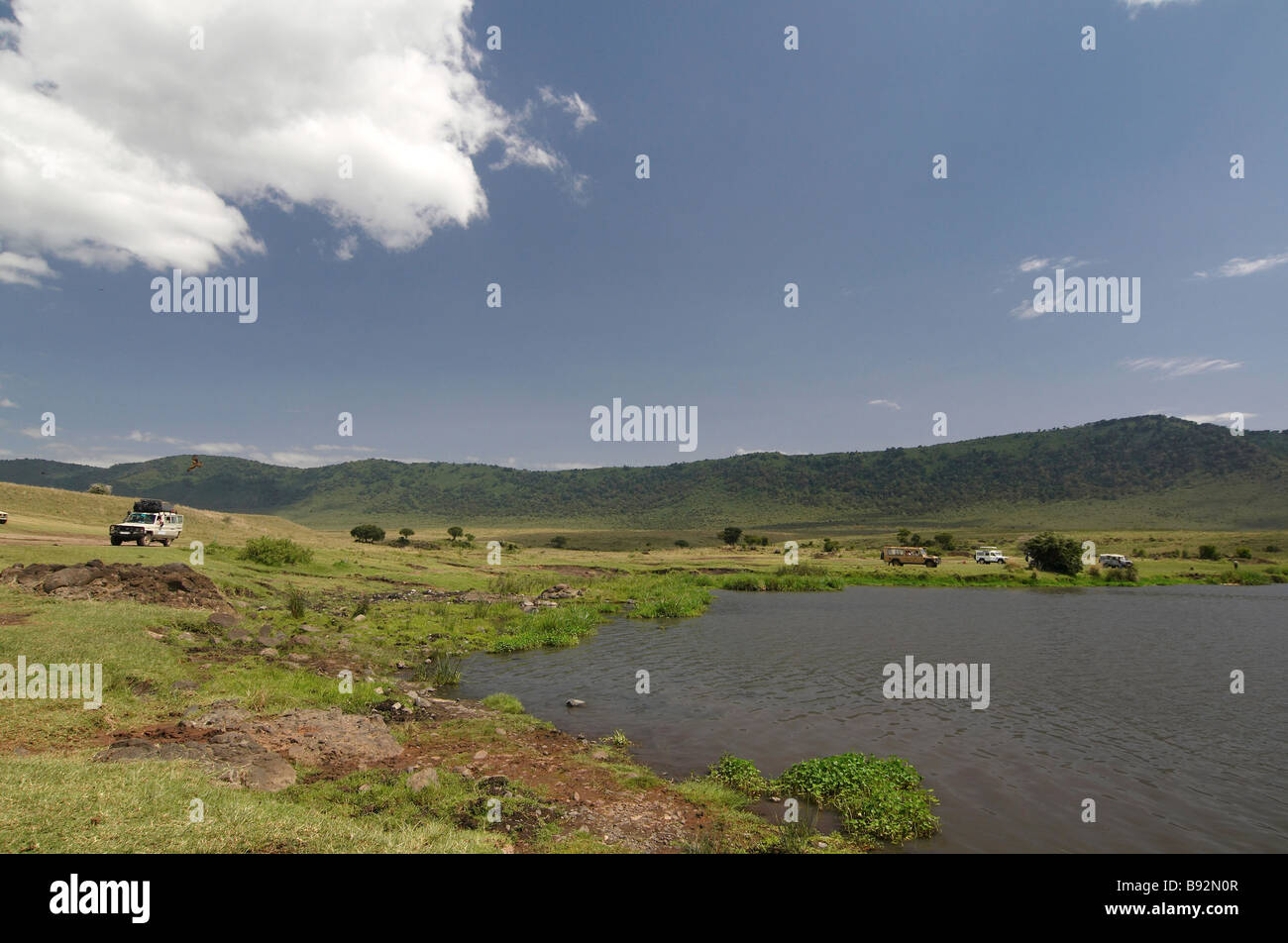 Ngorongoro Conservation Area in the old crater Stock Photo - Alamy