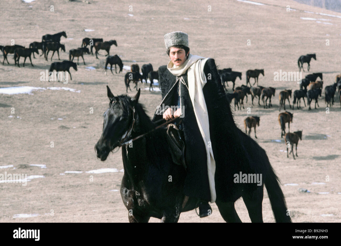 A flock of horses of the famous Kabardian breed with their mounted ...