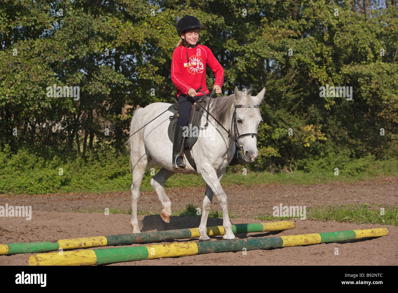 girl riding on German Riding Pony Stock Photo - Alamy