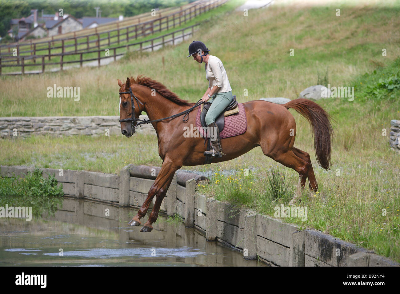 What Is Hunter Horse Riding at Michelle Major blog