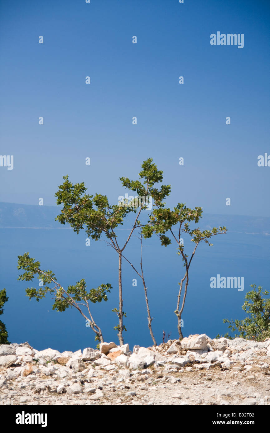 Croatia,Biokovo National Park,view from top of Sv. Jure mountain Stock ...