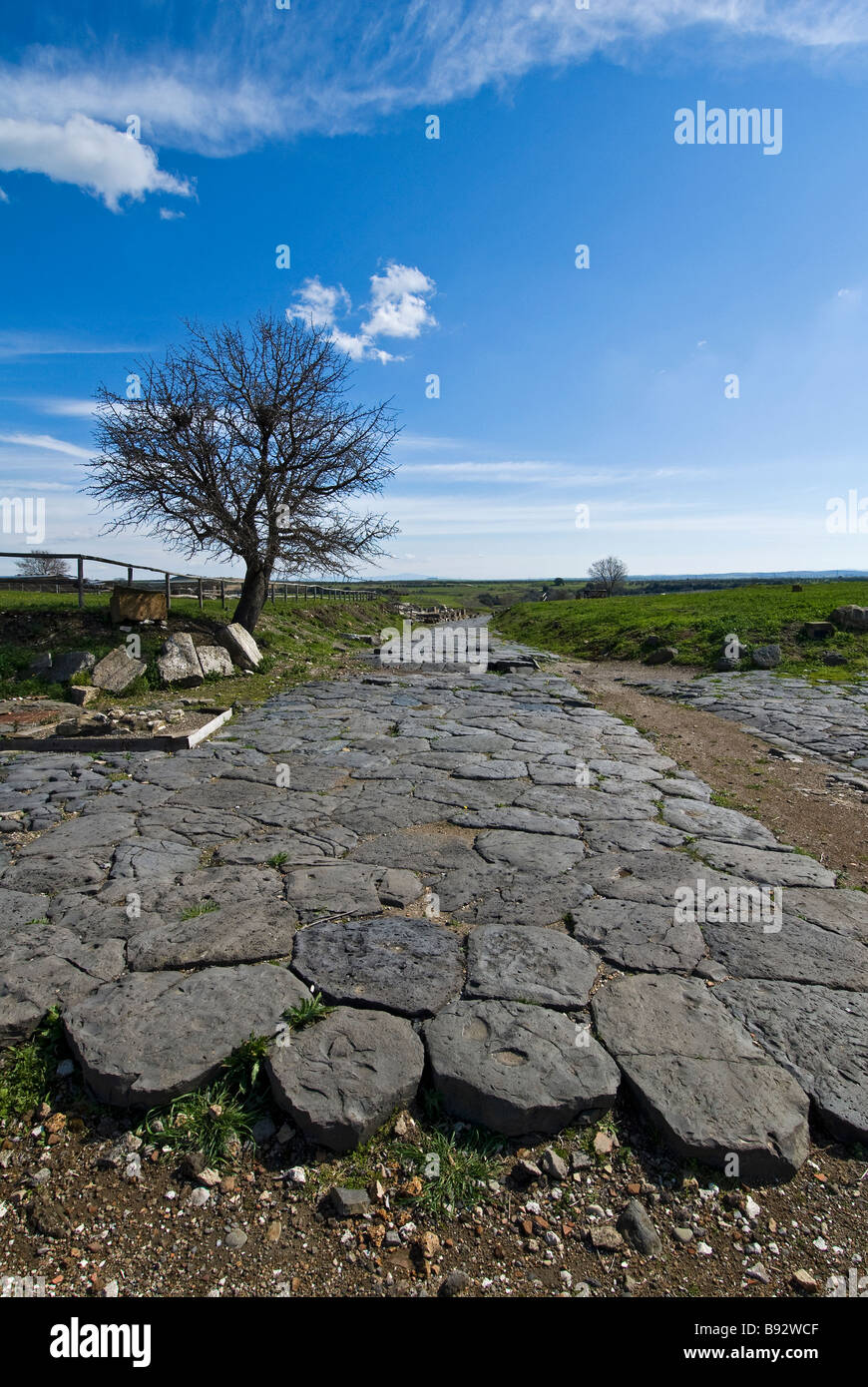 archaeological site of the Etruscan city of Vulci in Lazio in Italy ...