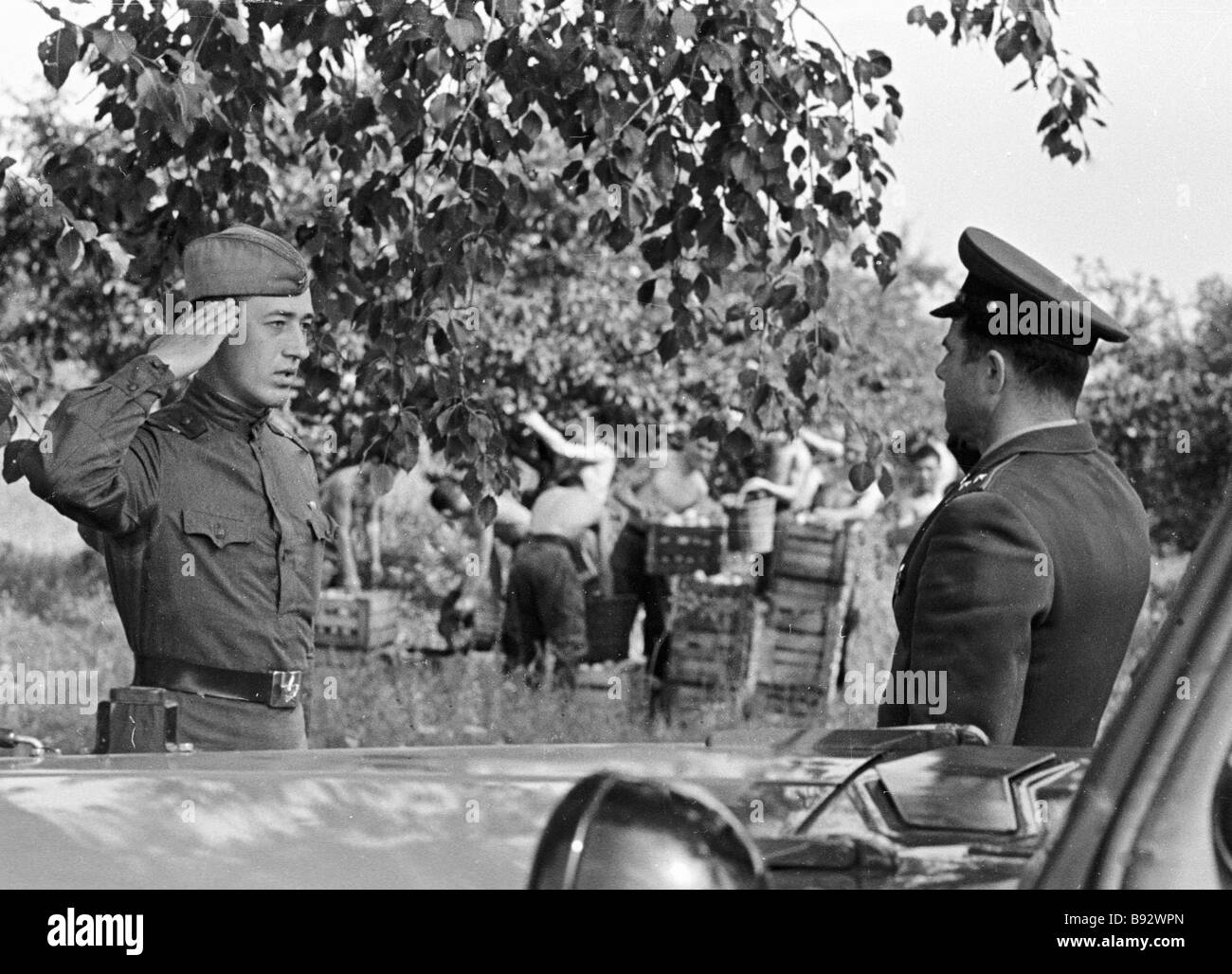 A soldier reports to a commander Stock Photo - Alamy