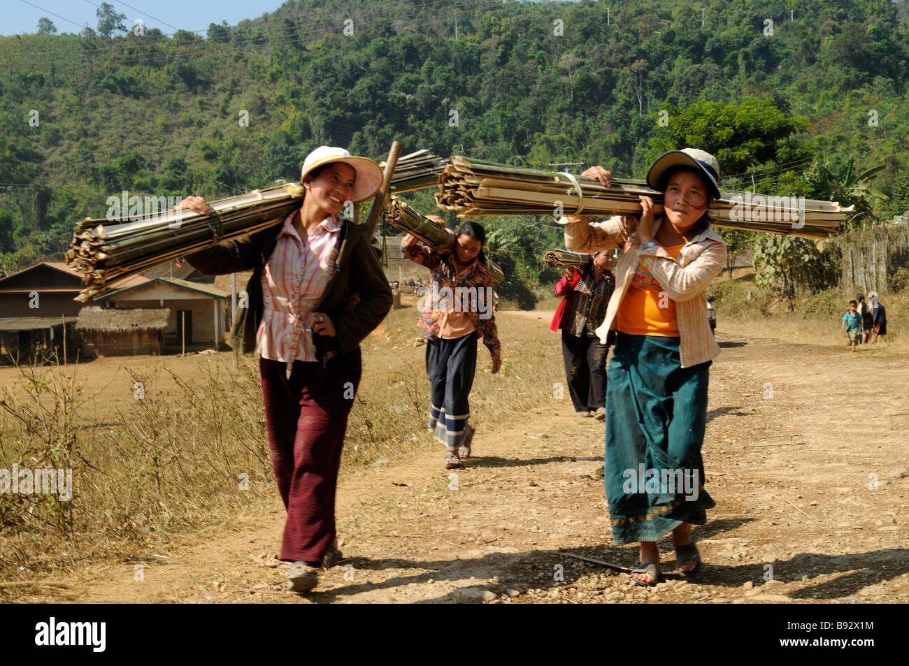 Hmong women carry bamboo from the forest Nam Hak Laos The village is ...