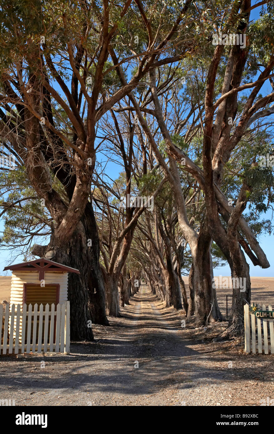 Rural Drive Way Stock Photo - Alamy