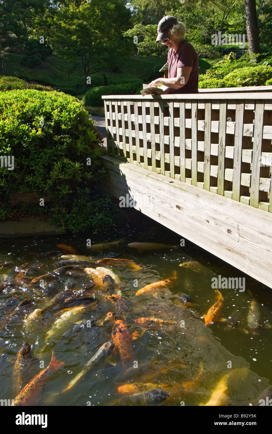 Texas Fort Worth Botanic Garden Japanese Garden female visitor feeding ...
