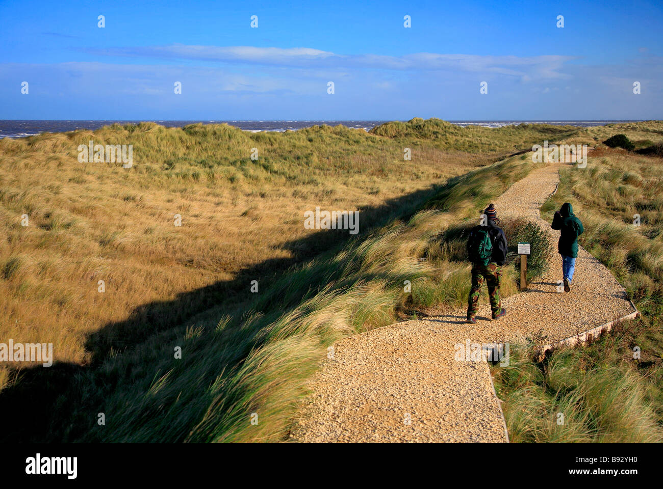 Holme dunes national nature reserve hi-res stock photography and images ...