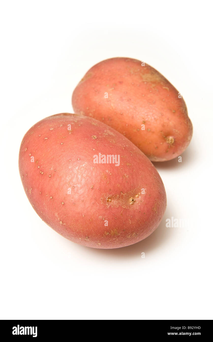 Red rooster potatoes isolated on a white studio background Stock Photo ...