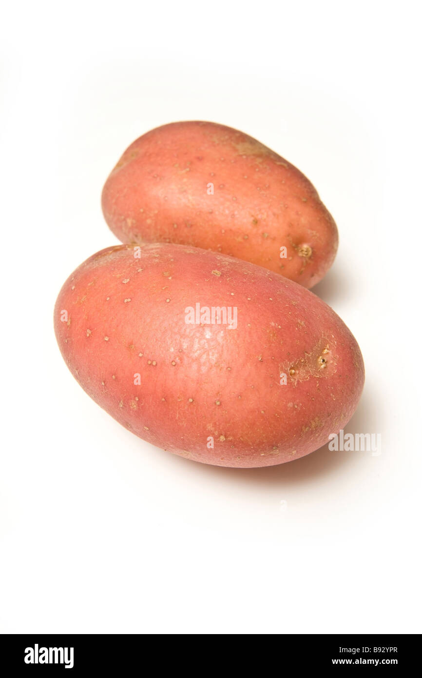 Red rooster potatoes isolated on a white studio background Stock Photo ...