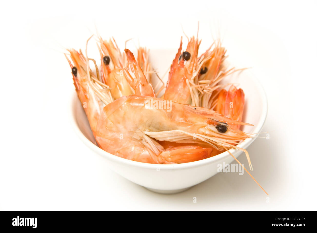 Bowl of Crevettes cooked prawns shrimp isolated on a white studio ...