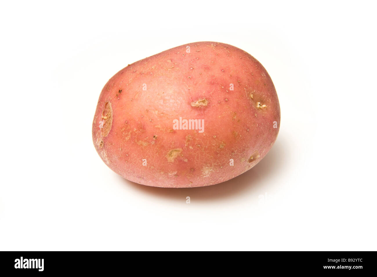 Red rooster potato's isolated on a white studio background Stock Photo ...