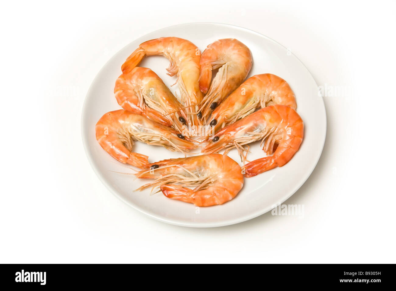 Bowl of Crevettes cooked prawns shrimp isolated on a white studio ...
