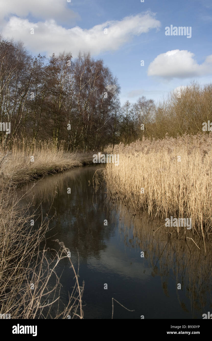 Wensum river hi-res stock photography and images - Alamy