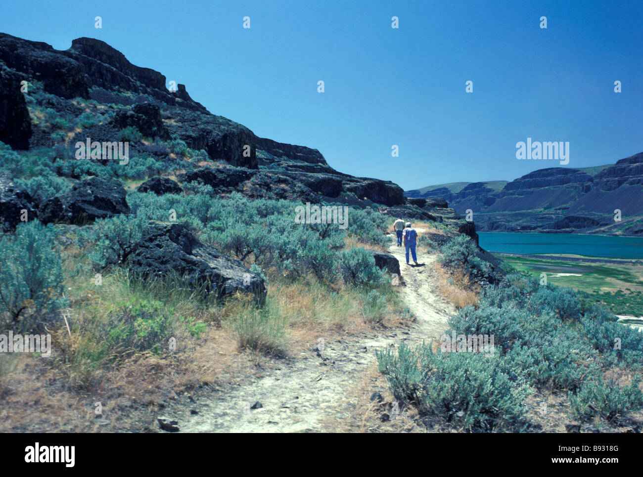 Lenore hi-res stock photography and images - Alamy