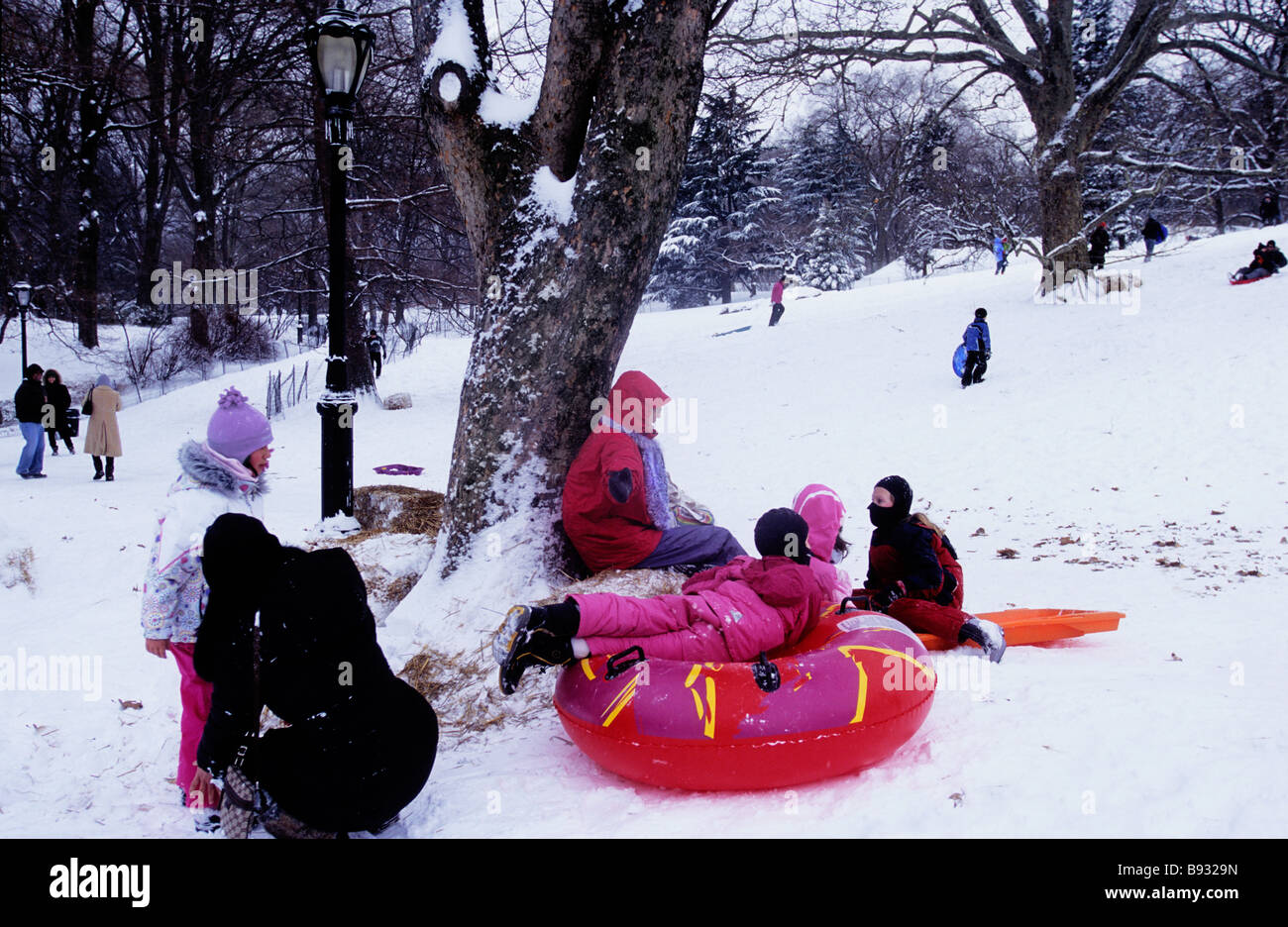 New York City Central Park in a snowstorm children playing on Cedar ...