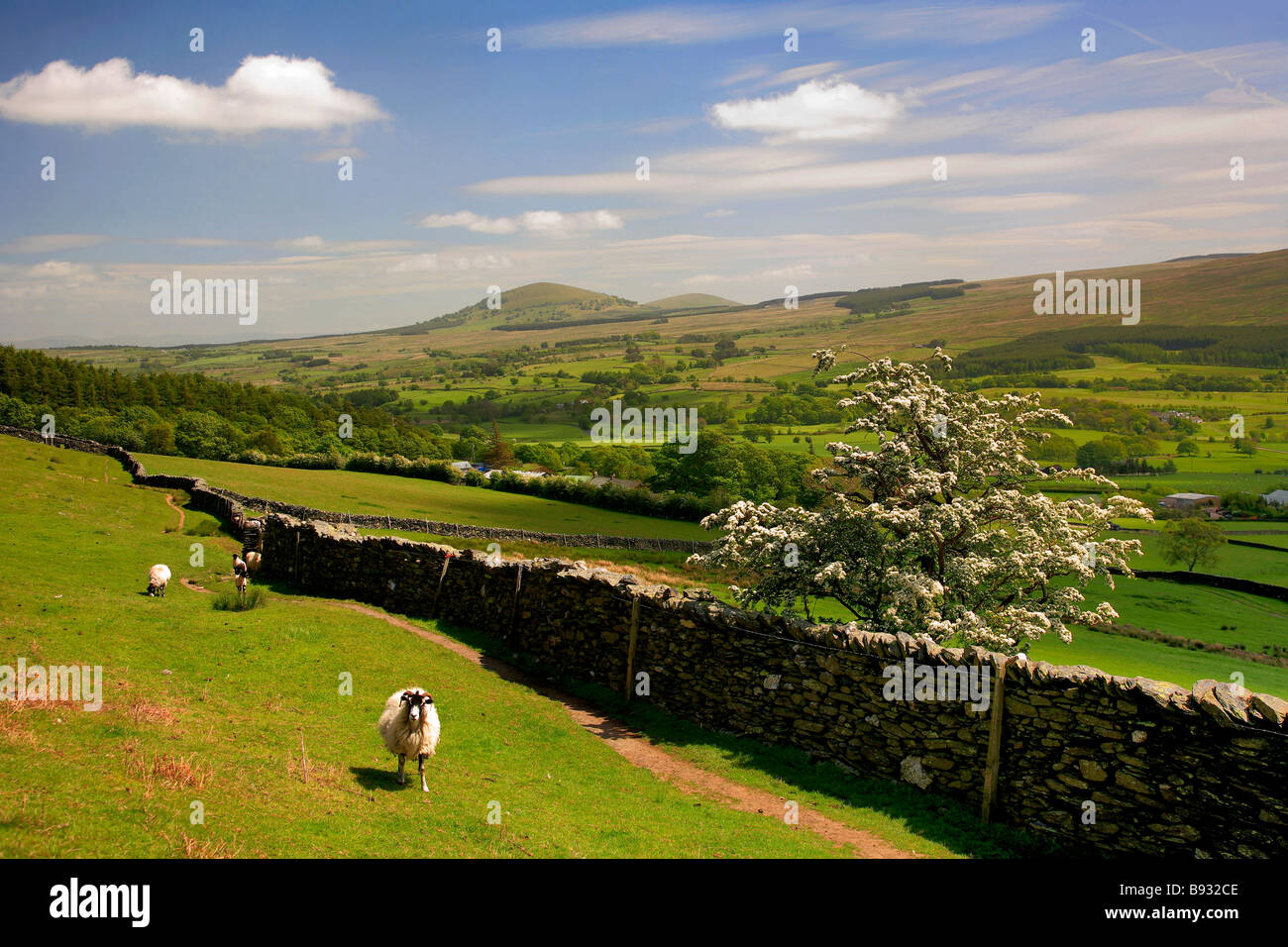 Landscape View over Threlkeld village Common Lake District National ...
