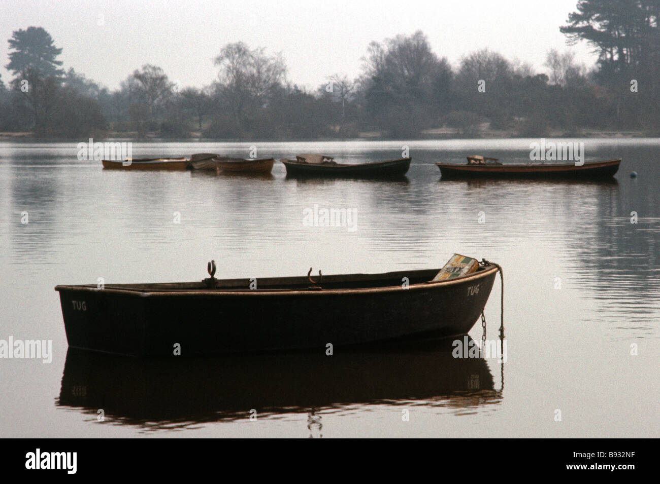 Petersfield Lake High Resolution Stock Photography and Images - Alamy