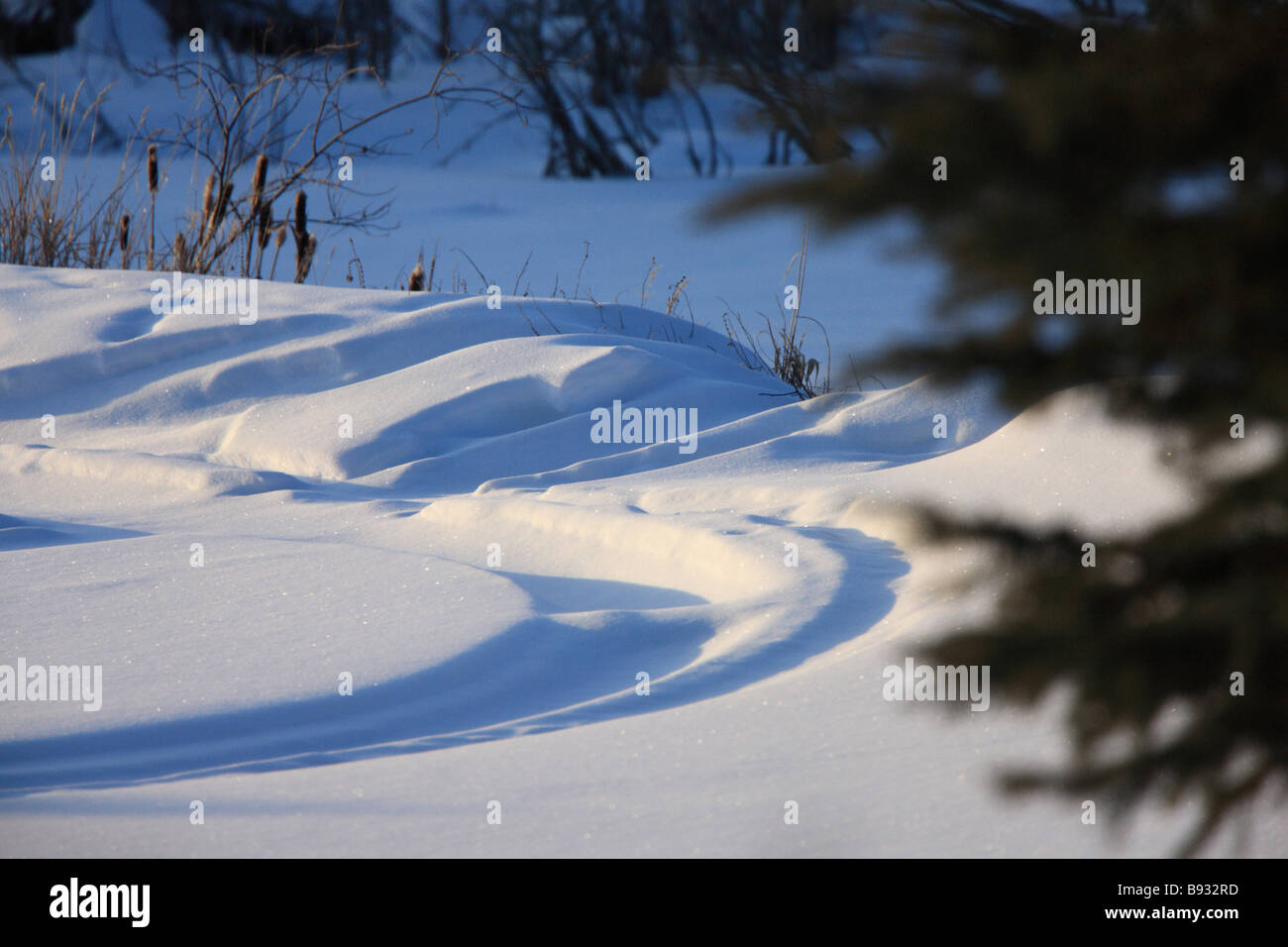 Snow Tracks in Winter Canada Stock Photo - Alamy