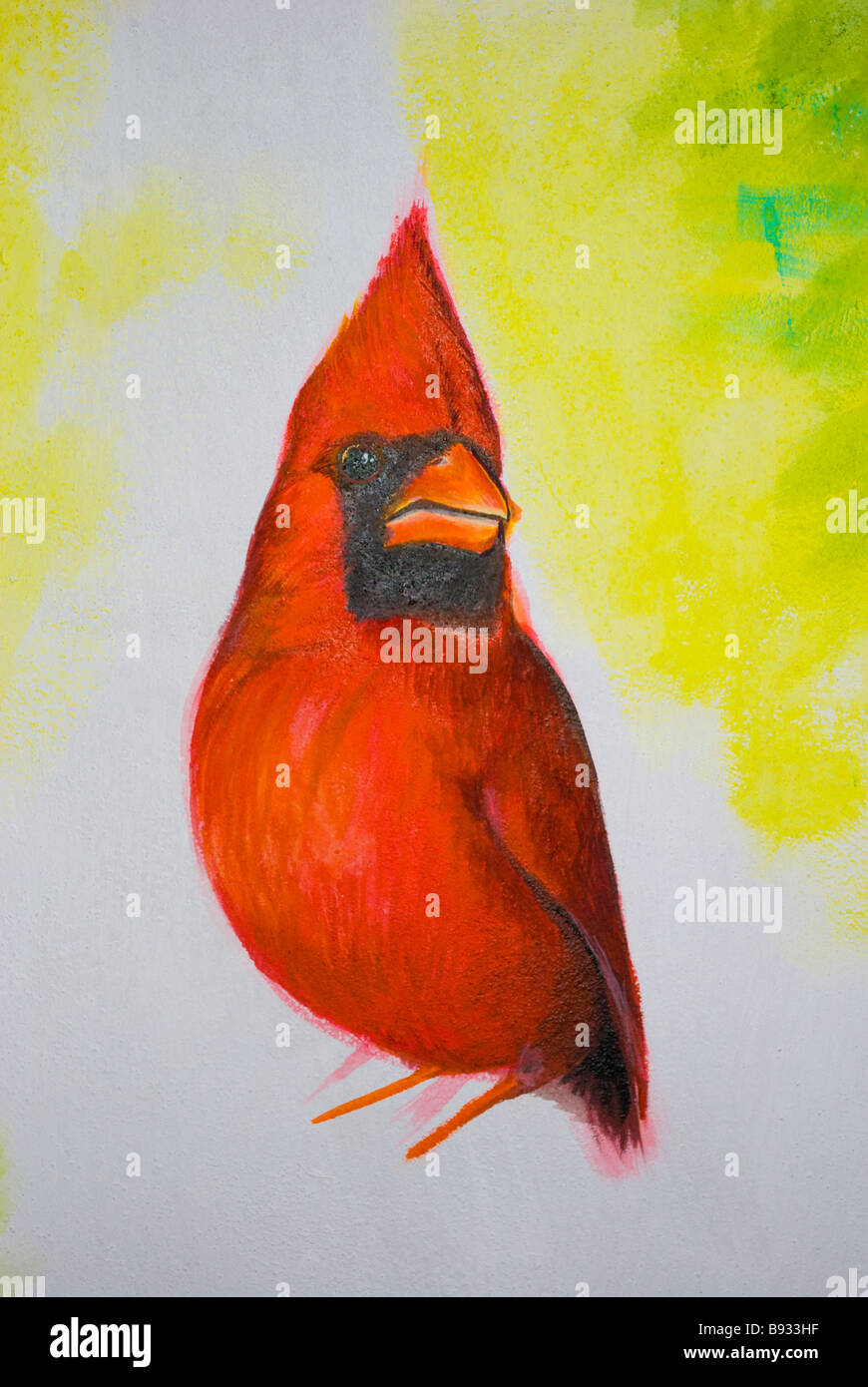 Painting of a Cardinal at the research station of the Reserva Ecologica ...
