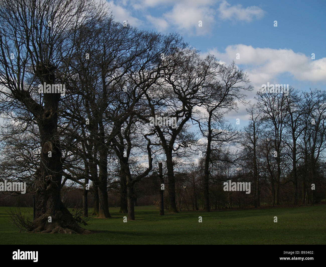 Middlesbrough park hi-res stock photography and images - Alamy