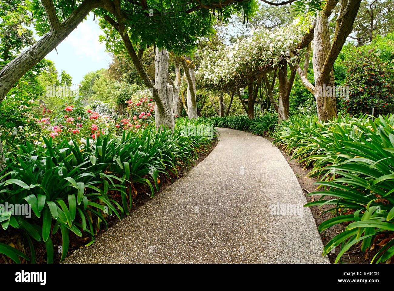 Colorful garden path hi-res stock photography and images - Alamy
