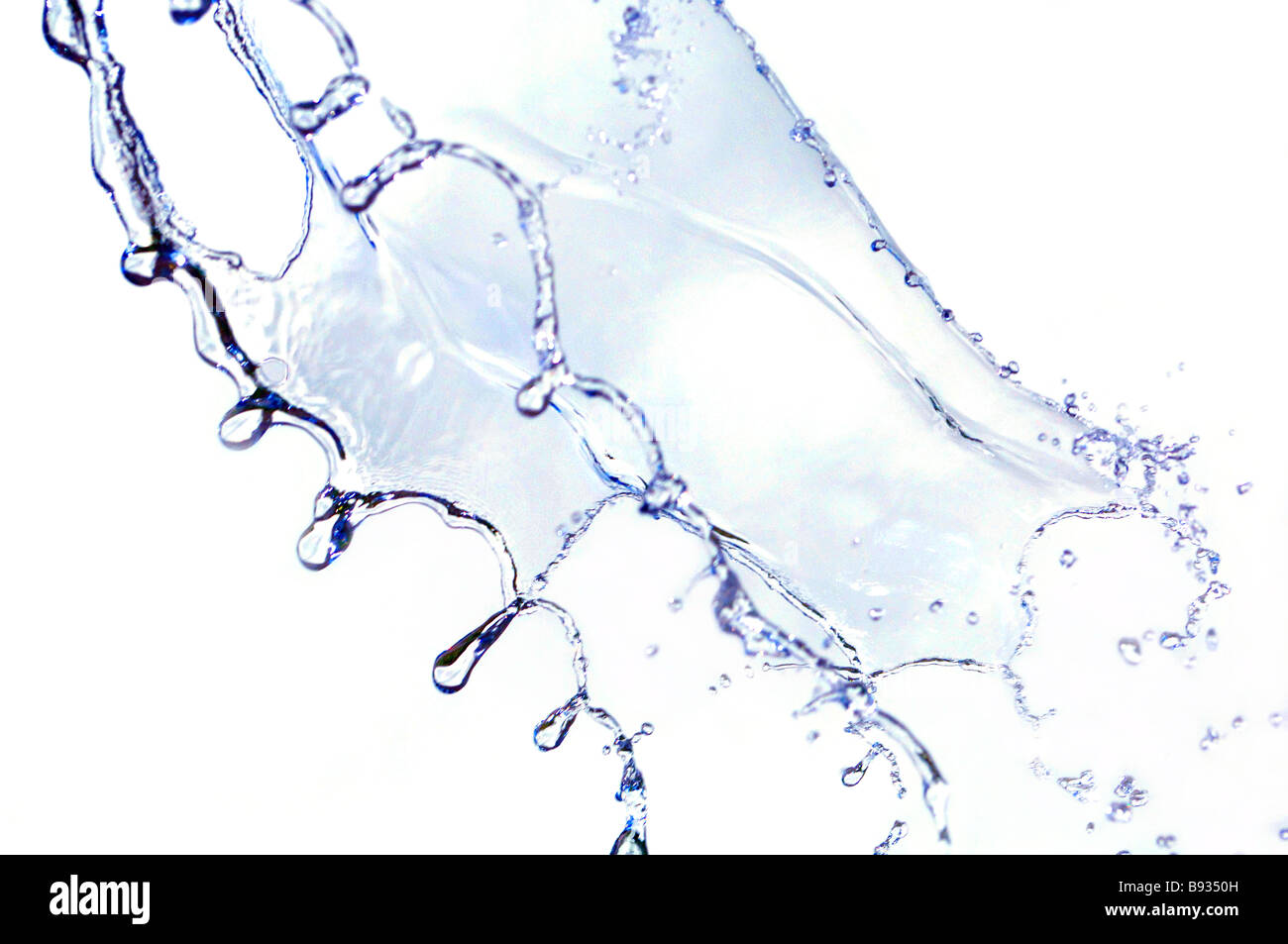 Water splash frozen in mid air on white background Stock Photo - Alamy
