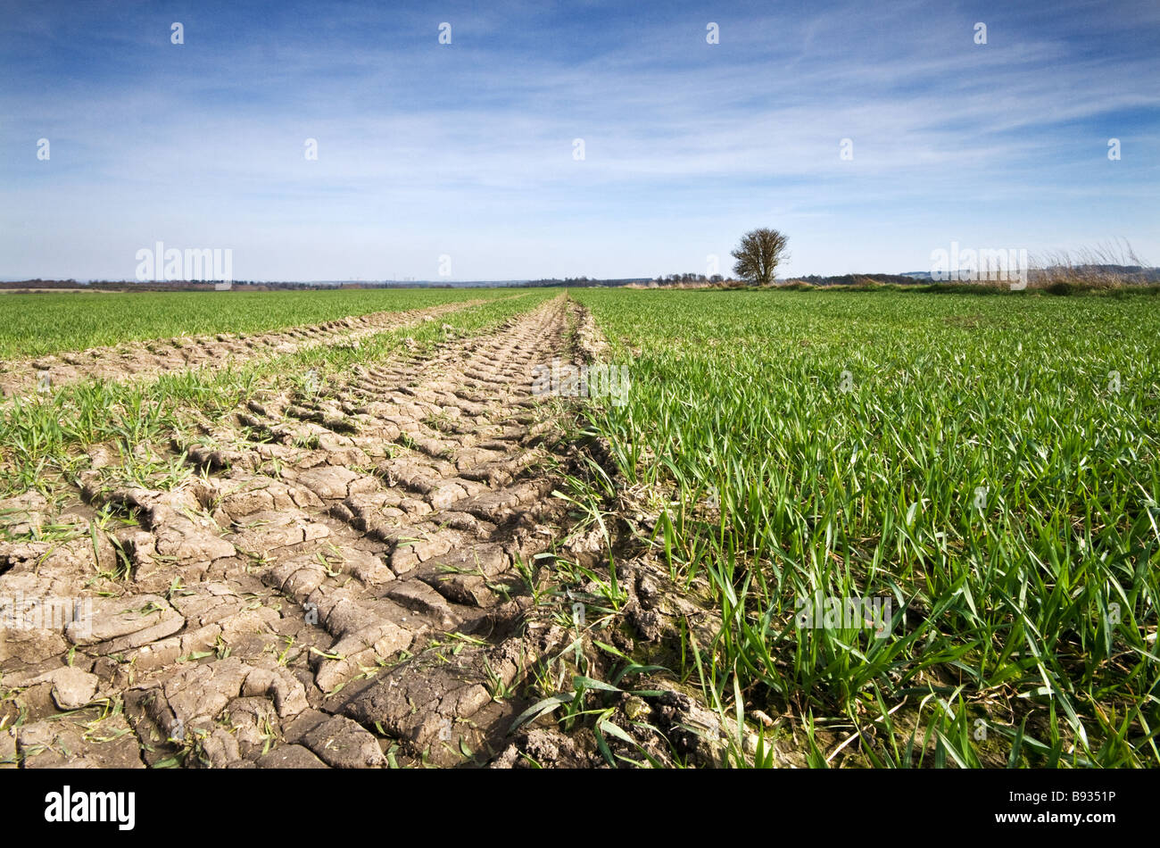 New crops hi-res stock photography and images - Alamy
