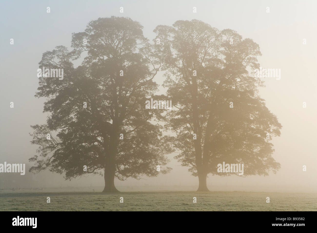 Early morning mist Usk Valley South Wales UK Stock Photo - Alamy