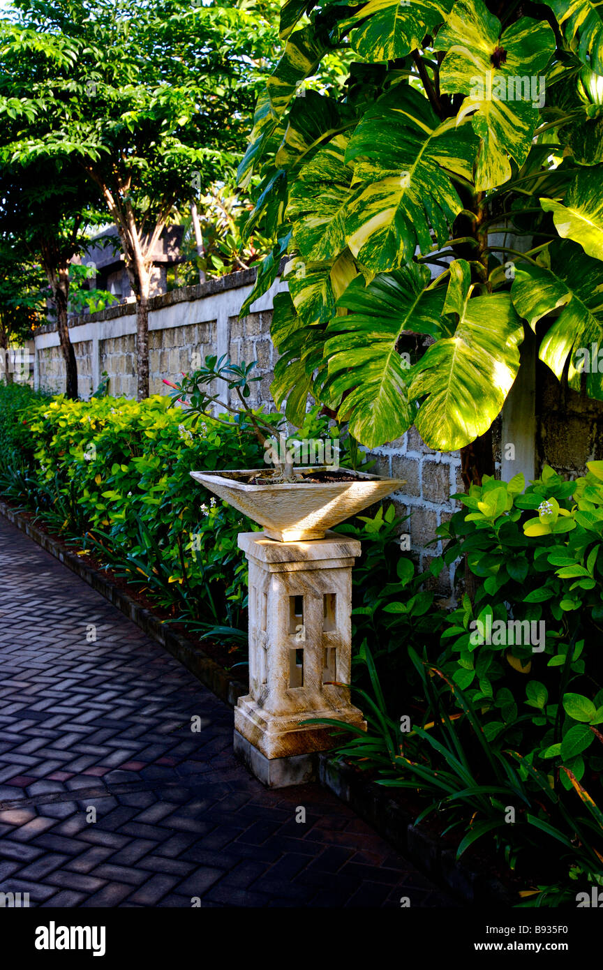 Trees growing over the road hi-res stock photography and images - Alamy