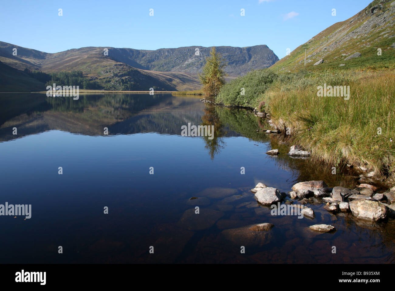 View of Loch Lee Glen Esk Angus in Spring Stock Photo - Alamy