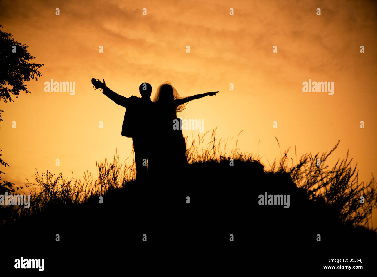 Happy wedding hi-res stock photography and images - Alamy