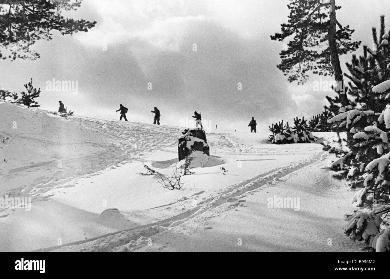 Soldiers from a military unit on ski race in the forest Stock Photo - Alamy