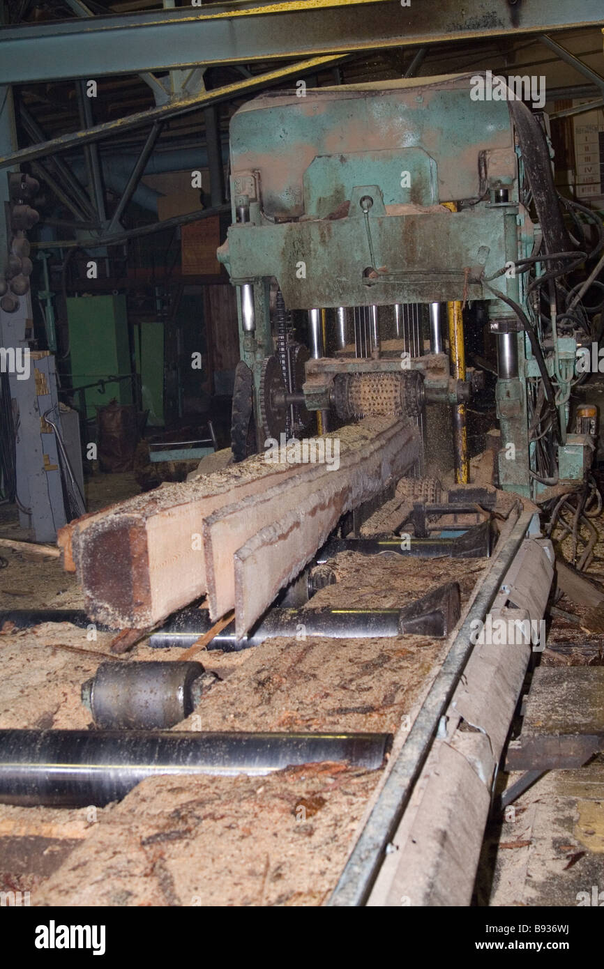 Log Bucking High Resolution Stock Photography and Images - Alamy