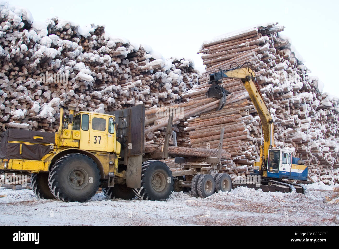 Log loading at Lesosibirsky sawmill No 1 Stock Photo - Alamy