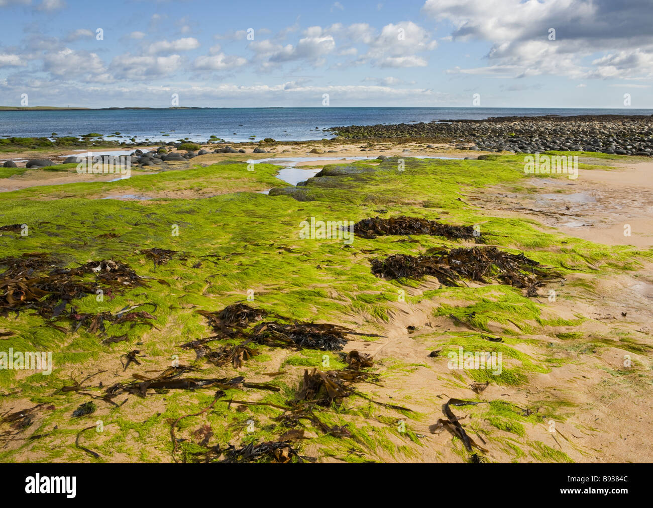 Dunstanburgh beach hi-res stock photography and images - Alamy