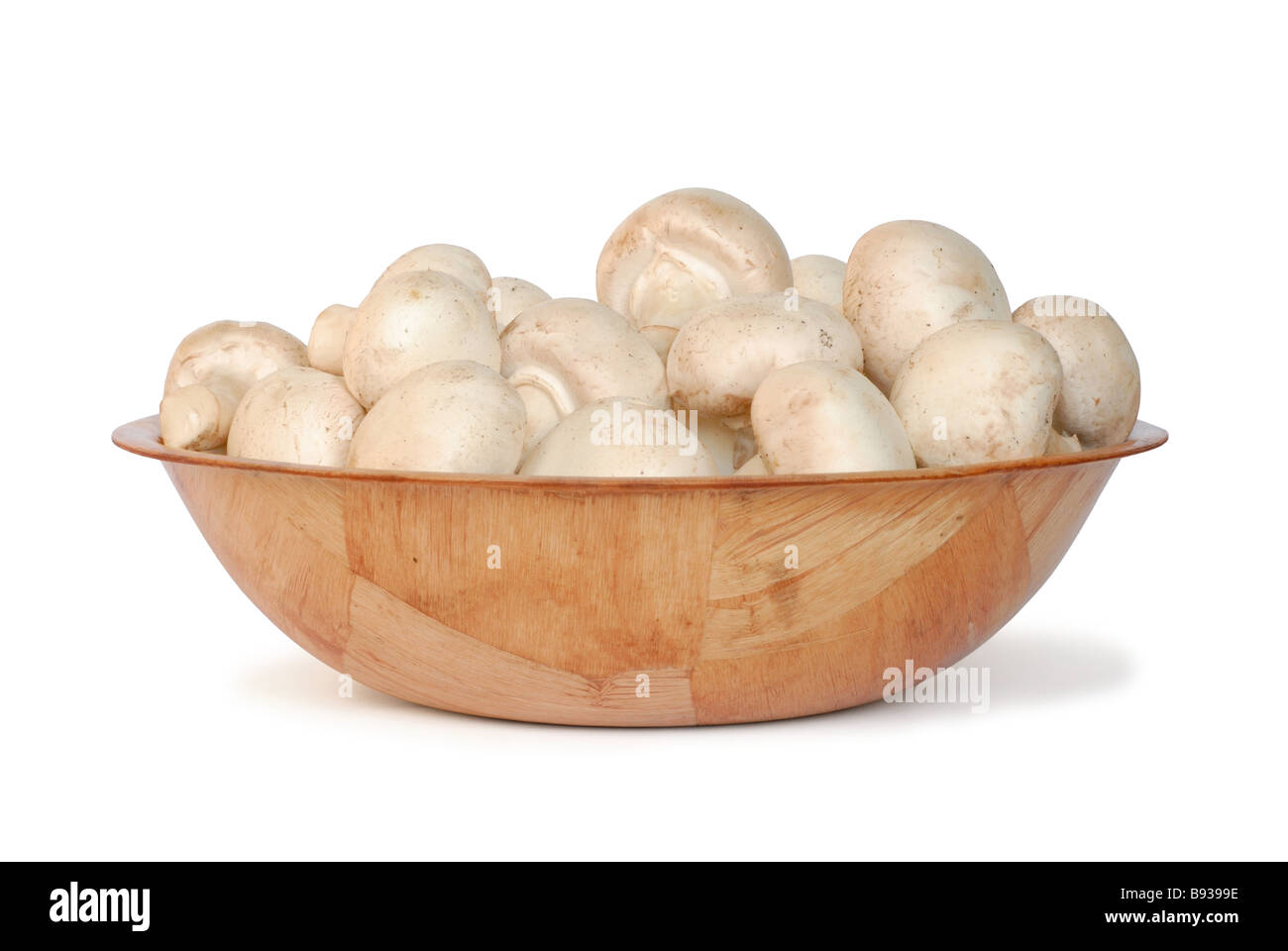 Mushrooms bowl isolated fungus fungi agaricus edible isolated hi-res ...
