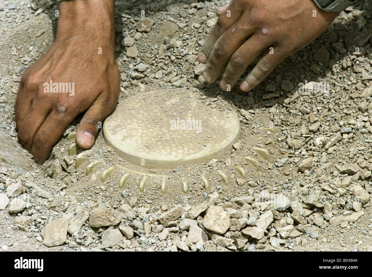 Field engineer demining Stock Photo - Alamy