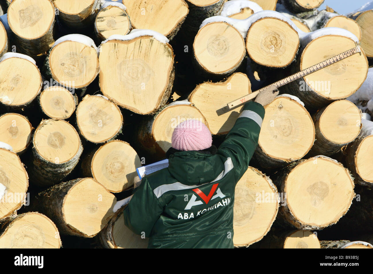 Log sizing at AVA Company Siberia s largest timber processing works ...